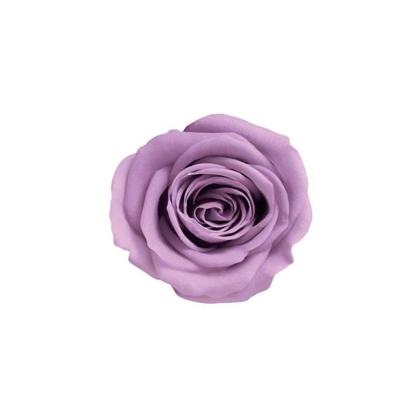 【プリザーブドフラワー・プリザーブド　花材】8輪入り直径3.5-4cm高さ2.5-3cm＊自然の生花や植物を原料としています。サイズ、色、形などは同一ではありません。＊表示について《検索ワード》プリザーブドフラワー　ドライフラワー　花材　資...
