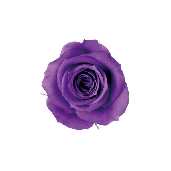 【プリザーブドフラワー・プリザーブド　花材】16輪入り直径2.3-2.5cm高さ2.3-2.5cm＊自然の生花や植物を原料としています。サイズ、色、形などは同一ではありません。＊表示について《検索ワード》プリザーブドフラワー　ドライフラワー...