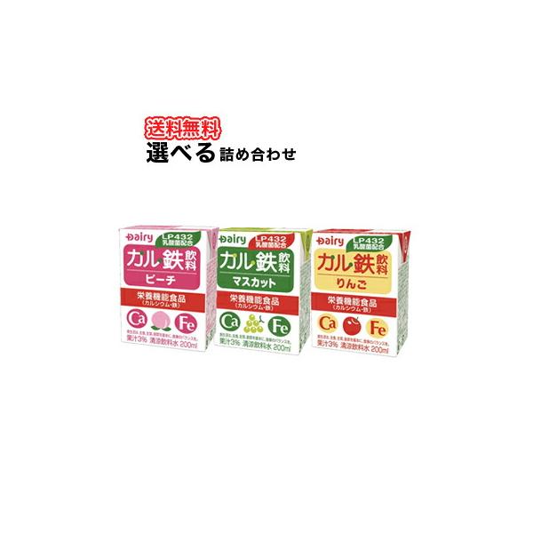 南日本酪農協同 デーリィ カル鉄飲料 マスカット ピーチ りんご よりどり選べる4ケース 200ml各種 18本入/3ケース 紙パックセット 送料無料 鉄分