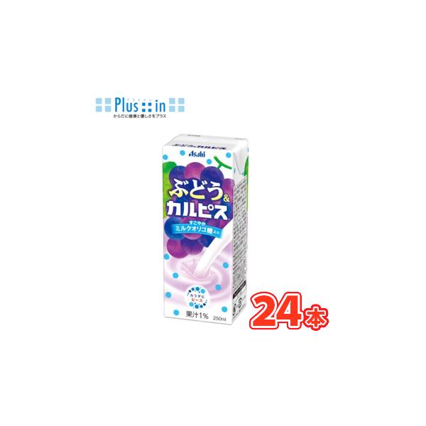 エルビー ぶどう＆カルピス　【250ml】×24本 〔乳酸菌飲料　calpis　かるぴす　カルピス　ブドウ　ぶどう　葡萄　グレープ　紙パック〕送料無料