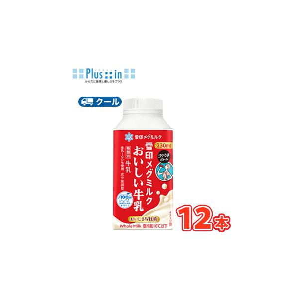 雪印　メグミルク　おいしい雪印メグミルク牛乳 ゴクうまボトル　230ml×12本入　クール便　紙パック　送料無料　〔雪印　乳製品　ミルク　MILK〕