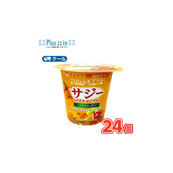 チチヤス　こくRichプラスサジーミックスヨーグルト　90g×12個入/2ケース【クール便】〔ヨーグルト 乳製品 スイーツ ざくろ〕 食べる　送料無料