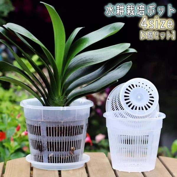 水分や養分が植物に浸透しやすい！メッシュデザインの水耕栽培ポットです。観葉植物・野菜栽培におすすめです◎同サイズ3個セットとなります。【サイズについて】画像をご参照ください。【素材について】プラスチック【カラーについて】生産ロットにより柄の...