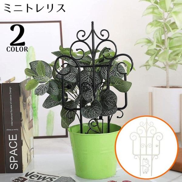 簡単設置！軽量プラスチック製のオシャレなデザイン♪誘引をサポートする、つる性植物用のミニトレリスです。【サイズについて】画像をご参照ください。【素材について】プラスチック【カラーについて】生産ロットにより柄の出方や色の濃淡が異なる場合がござ...