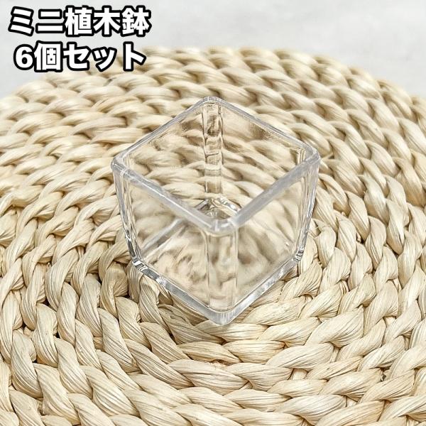 多肉植物や盆栽などの鉢植えに◎ミニサイズのクリアカラーが可愛い植木鉢です。【サイズについて】画像をご参照ください。【素材について】プラスチック【カラーについて】生産ロットにより柄の出方や色の濃淡が異なる場合がございます。お使いのモニターや撮...