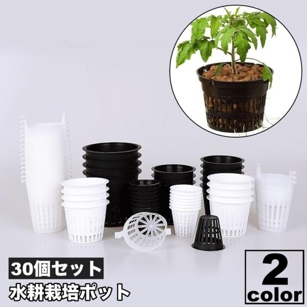 水耕栽培ポット、同色30個セットです。観葉植物や野菜栽培におすすめ◎【サイズについて】画像をご参照ください。【素材について】PP【カラーについて】生産ロットにより柄の出方や色の濃淡が異なる場合がございます。お使いのモニターや撮影時の光の加減...