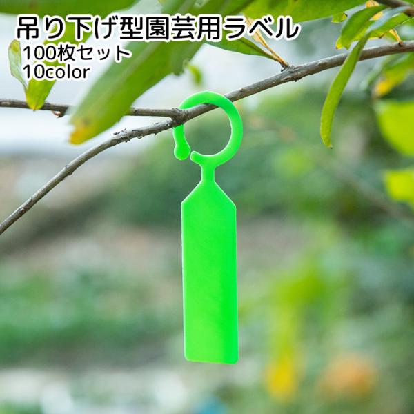 引っ掛けて使用する、園芸用のラベル100枚セットです。分類をわかりやすくしたり、剪定時などの目印としてもお使いいただけます。【サイズについて】画像をご参照ください。【素材について】PVC【カラーについて】生産ロットにより柄の出方や色の濃淡が...