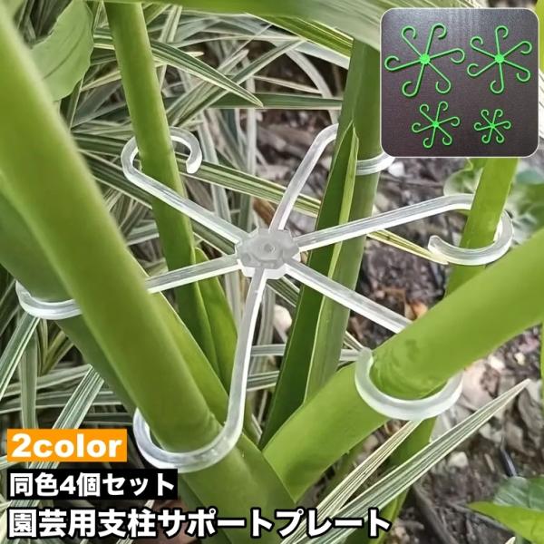 つる性植物の栽培に役立つ♪支柱用サポートプレート、同色4個(各サイズ1個)セットです。【サイズについて】画像をご参照ください。【カラーについて】生産ロットにより柄の出方や色の濃淡が異なる場合がございます。お使いのモニターや撮影時の光の加減な...