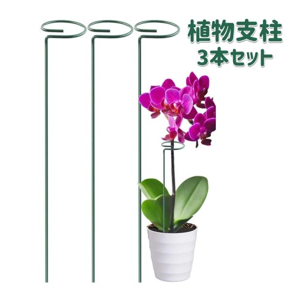 無地でシンプルな植物支柱3本セットです。バラ、ユリ、ミニトマトなど、さまざまな植物に対応可能。【サイズについて】画像をご参照下さい。【素材について】合金【カラーについて】生産ロットにより柄の出方や色の濃淡が異なる場合がございます。お使いのモ...