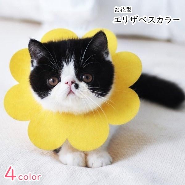 お花の形が可愛いエリザベスカラー。術後の毛づくろい防止にはもちろん、撮影・コスプレ用の小物にもオススメですよ♪【サイズについて】画像をご参照ください。【カラーについて】生産ロットにより柄の出方や色の濃淡が異なる場合がございます。お使いのモニ...