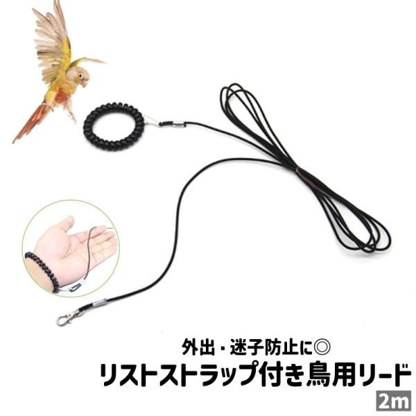 リストストラップ付きの鳥用リードです。インコやオウムなどの鳥の外出の際の使用、迷子防止に◎。【サイズについて】画像をご参照ください。【素材について】合金【カラーについて】生産ロットにより柄の出方や色の濃淡が異なる場合がございます。お使いのモ...