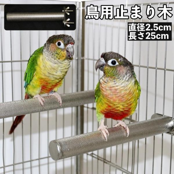 可愛い小鳥たちの休憩場所に♪鳥用の止まり木です。※他のサイズも販売中です。【pet-22886】で検索してください。【サイズについて】画像をご参照ください。【素材について】合金【カラーについて】生産ロットにより柄の出方や色の濃淡が異なる場合...