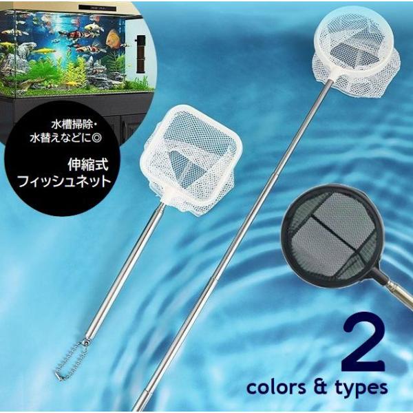 水槽内掃除や水替えの際の移動に◎観賞魚用すくい網。立体の網＆伸縮式の柄ですくい易く、大切な魚たちへのストレスを軽減。【サイズについて】画像をご参照ください。【素材について】合金他【カラーについて】生産ロットにより柄の出方や色の濃淡が異なる場...