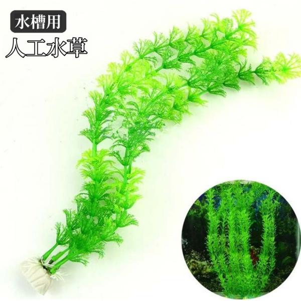 水槽用の人工水草です。人工植物なので、管理・手入れも楽々♪【サイズについて】画像をご参照ください。【素材について】プラスチック【カラーについて】生産ロットにより柄の出方や色の濃淡が異なる場合がございます。お使いのモニターや撮影時の光の加減な...