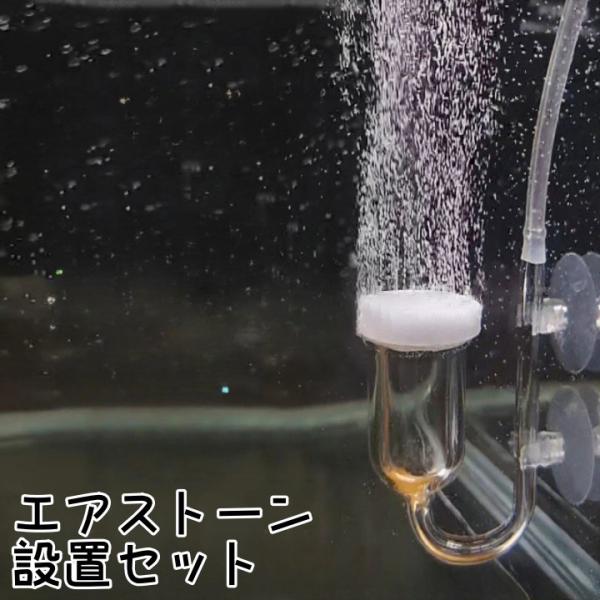 水槽内に細かい泡を作り出すエアストーンセットです◎エアストーンと設置用トレー、ノズル、吸盤のセットです。【サイズについて】画像をご参照ください。【素材について】ガラス【カラーについて】生産ロットにより柄の出方や色の濃淡が異なる場合がございま...