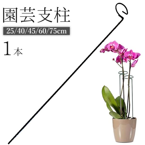 茎の広がりや転倒を予防する園芸支柱(1本)です。取付簡単で様々な植物にお使いいただけます。【サイズについて】測り方により誤差が生じる場合がございます。同じサイズでも色やデザインによって大きさが異なる場合もございます。【素材について】合金【カ...