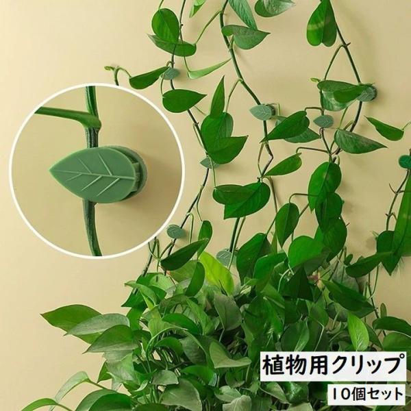 葉っぱモチーフの植物用クリップです。10個セットでの販売です。壁などに固定する用の粘着テープ12枚が付属しています。【サイズについて】画像をご参照ください。【素材について】プラスチック【カラーについて】生産ロットにより柄の出方や色の濃淡が異...
