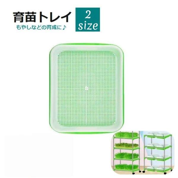 もやしやカイワレ大根などを育てる育苗トレイです。家庭で食べる分を栽培するのにちょうどよいサイズです。【サイズについて】画像をご参照ください。【カラーについて】生産ロットにより柄の出方や色の濃淡が異なる場合がございます。お使いのモニターや撮影...