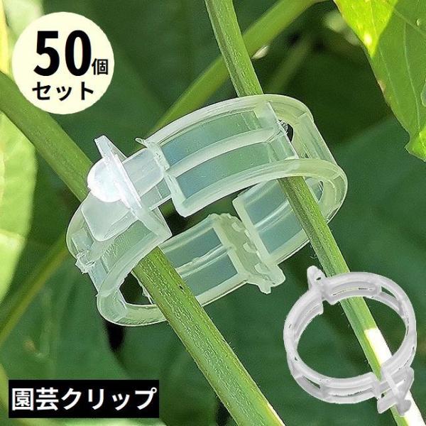 ワンタッチで取り付け簡単！植物の成長をサポートする便利アイテム♪リングタイプの園芸用誘引クリップ50個セットです。【サイズについて】画像をご参照ください。【素材について】プラスチック【カラーについて】生産ロットにより柄の出方や色の濃淡が異な...