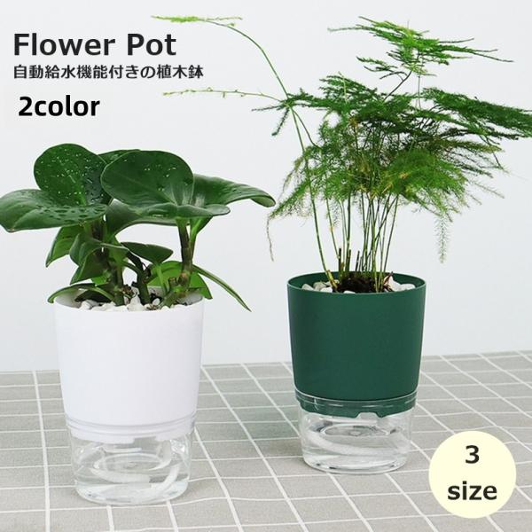 多肉植物や観葉植物などの栽培に♪自動給水機能付きの植木鉢です。忙しい人や水やりを忘れがちな人にもおすすめです◎【サイズについて】画像をご参照ください。【素材について】PP、PS【カラーについて】生産ロットにより柄の出方や色の濃淡が異なる場合...