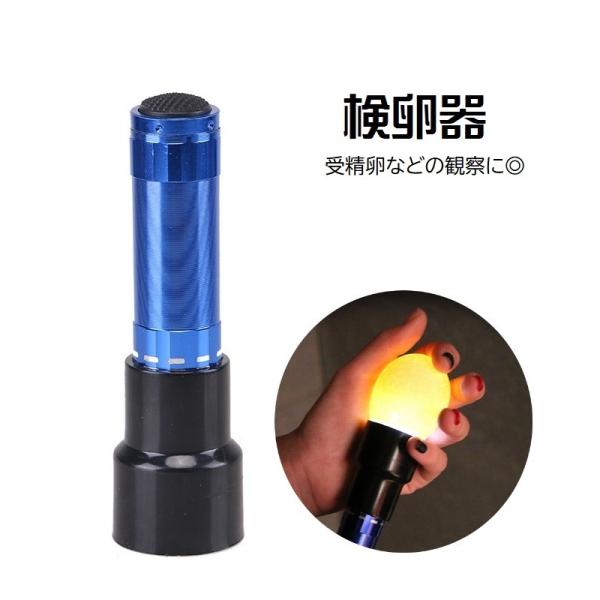 タマゴの中をLEDライトで透かして見ることができる検卵器です。受精卵の成長などの観察に◎※電池は付属しておりません。【カラーについて】※カラーはランダムとなります。お選びいただけませんのでご注意ください。　複数ご注文いただいた場合でも、全て...