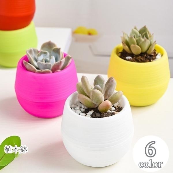 サボテン等の多肉植物向け植木鉢。小さくコロンとしたフォルムがとってもキュート♪鉢部分と受け皿が一体になっているので、お皿にのせる必要がなく、水がこぼれにくいデザインです。【サイズについて】画像をご参照ください。【素材について】プラスチック【...
