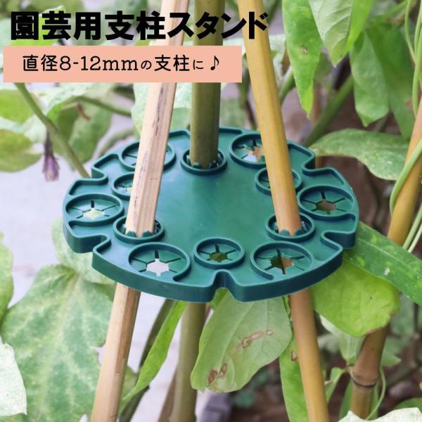 竹などを簡単にまとめられる園芸用支柱スタンドです。家庭菜園などに◎【サイズについて】画像をご参照ください。【素材について】PP【カラーについて】生産ロットにより柄の出方や色の濃淡が異なる場合がございます。お使いのモニターや撮影時の光の加減な...