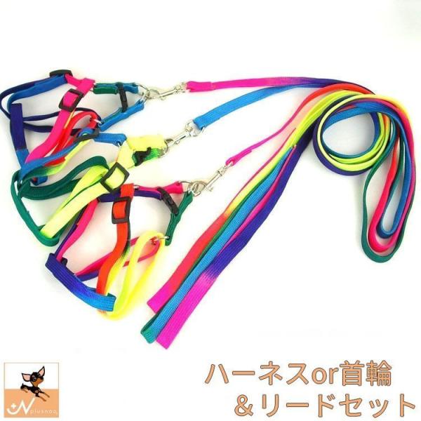 グラデーションカラーのハーネス＆リード、首輪＆リードのセットです。※カラーはランダムとなります。お選びいただけませんのでご注意ください※【サイズについて】画像をご参照ください。【素材について】ナイロン【カラーについて】生産ロットにより柄の出...