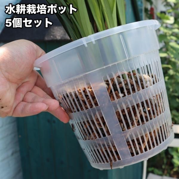 水耕栽培ポット5個セットです。観葉植物や野菜栽培におすすめ◎【サイズについて】画像をご参照ください。【カラーについて】生産ロットにより柄の出方や色の濃淡が異なる場合がございます。お使いのモニターや撮影時の光の加減などにより画像と実際の商品の...