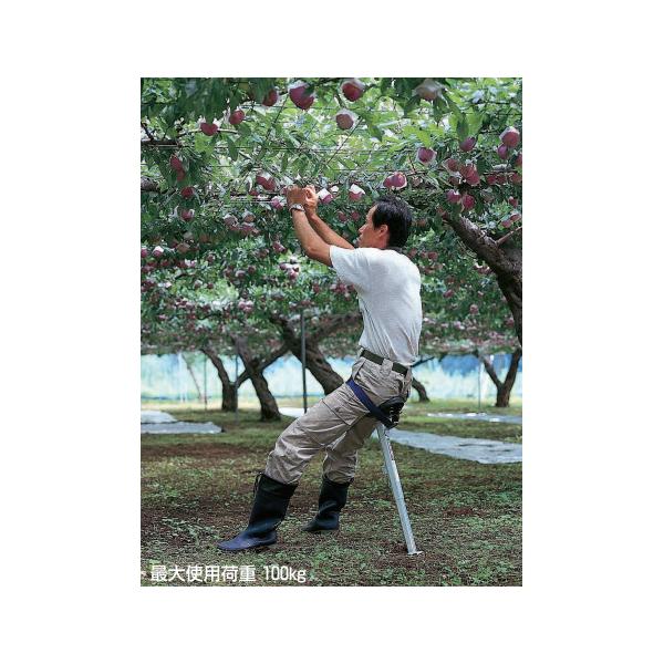 平棚仕立ての果樹園等で、中腰の疲れる作業を楽な姿勢で行うことができます。身長や作業に合わせ座面の高さが変えられます。調節範囲　座面高さ　約65cm〜90cm重量　約1.2kg