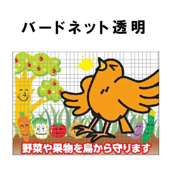 【2個】透明バードネット軽量で作業性抜群！！野菜や果物を鳥から守ります！サイズ： 2m×50m目合：17mm×17mm材質：ポリエチレン