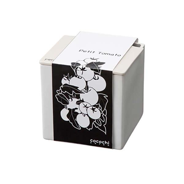 1ケース（同色 6個）でのお届けです。ホームハイポニカ 心知菜園 スノーホワイト（ミニトマト）インテリアとしても取り入れやすい水耕栽培キットcocochi saien（ここちさいえん）はコンパクトサイズの陶器製水耕栽培キットです。インテリア...
