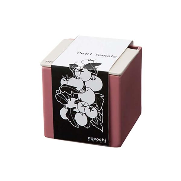 1ケース（同色 6個）でのお届けです。ホームハイポニカ 心知菜園 ピンクローズ（ミニトマト）インテリアとしても取り入れやすい水耕栽培キットcocochi saien（ここちさいえん）はコンパクトサイズの陶器製水耕栽培キットです。インテリアと...