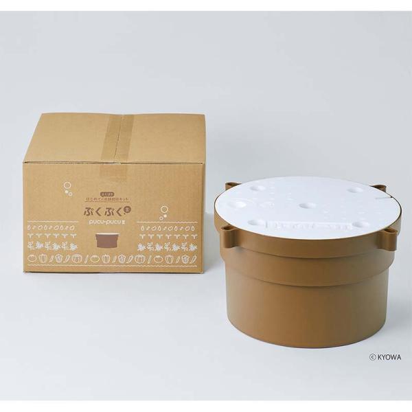 6個でのお届けです。ホームハイポニカぷくぷくを改良した新しい水耕栽培キットホームハイポニカぷくぷくII土を使わず、エアポンプによる液体肥料の循環で、根を元気に育て、植物を大きく早く栽培できます。また、レタスやハーブ類などの植物が栽培できるよ...