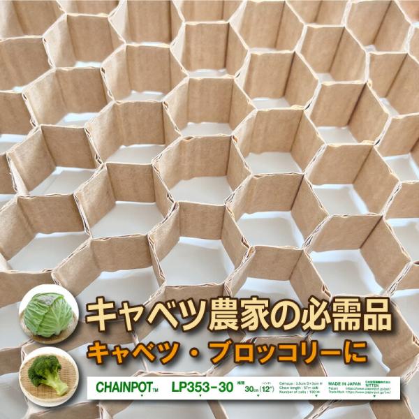 かねてから多数の農家さんから要望のあった株間30cmのチェーンポットが登場！チェーンポットとは、日本甜菜製糖株式会社（ニッテン）が開発した効率的で、かつ均一な苗作りができる紙製の鉢でチェーン状に連結されています。鉢の紙は特殊加工されており、...