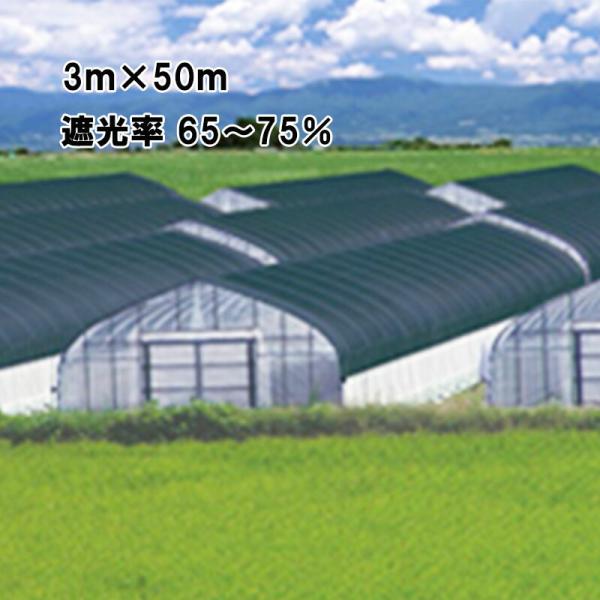 幅：3m長さ：50m組織：平織遮光率：65〜75％超広幅当社パテントで他社には真似のできない5m、6m、7m、の超広幅織りが可能。両耳ロープ入り縫製せずにそのままご使用いただける両耳にビニロン糸ロープを織り込んだものもご用意軽くて強い通気性...