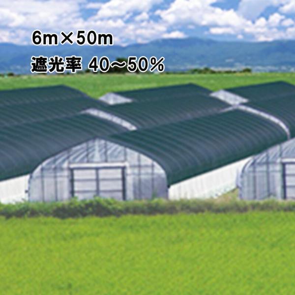 幅：6m長さ：50m組織：カラミ織遮光率：40〜50％超広幅当社パテントで他社には真似のできない5m、6m、7m、の超広幅織りが可能。両耳ロープ入り縫製せずにそのままご使用いただける両耳にビニロン糸ロープを織り込んだものもご用意軽くて強い通...