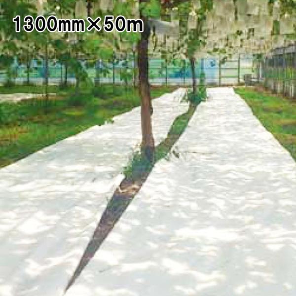 幅：1300mm長さ：50m色：白てるてるは地表被覆に使用される太陽光乱反射型拡散シートです。＜特長・効果＞特殊な繊維構造が高い反射性能と赤外線遮蔽効果を実現しました。ワリフで補強することで、不織布の透湿性を損なわず、適度な通気性があります...
