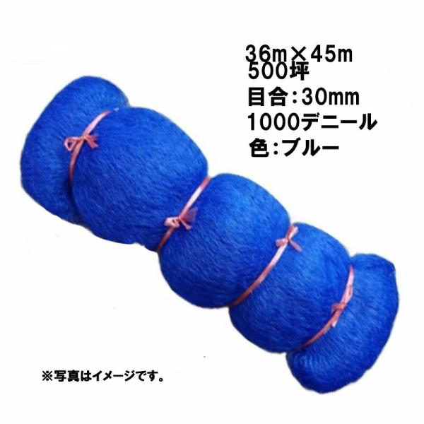 サイズ：36m×45m面積：500坪目合い：30mm糸の太さ：1000デニール色：ブルー＜特長・効果＞作物を鳥、虫などの害から守るのに最適な防鳥網は、簡単な取り付けによってネット張りをおこなうことができます。また、耐久性に優れ、安価な経費で...