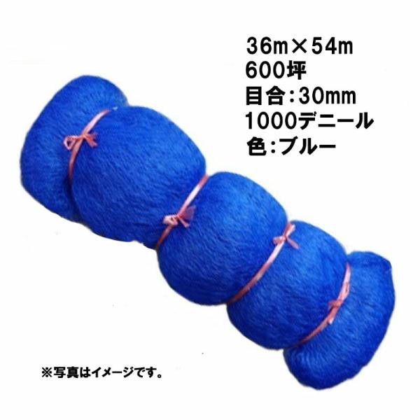 サイズ：36m×54m面積：600坪目合い：30mm糸の太さ：1000デニール色：ブルー＜特長・効果＞作物を鳥、虫などの害から守るのに最適な防鳥網は、簡単な取り付けによってネット張りをおこなうことができます。また、耐久性に優れ、安価な経費で...