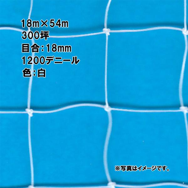 サイズ：18m×54m面積：300坪目合い：18mm糸の太さ：1200デニール色：白＜特長・効果＞ブルーベリー・さくらんぼ・ブドウ等の果樹に役立ちます。ヒヨドリ・ムクドリなどを防ぐのに最適です。色は白で景観を損ないません。UV剤入りで長持ちです。