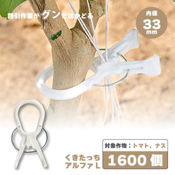 くきたっちアルファ（株元用）を使うことで従来の紐を結ぶ誘引作業が大幅に短縮されさらに、くきたっちアルファ（株元用）を使い誘引する事で誘引個所を従来より減らすことが可能です。また茎を縛る必要がないため、茎に紐が食い込んで傷めたりすることもなく...