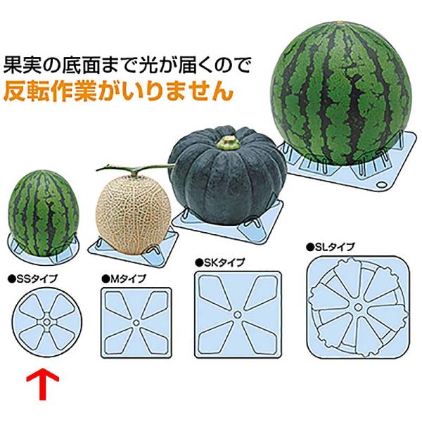 スイカ、メロン等の地這栽培果実の土との接地面腐敗防止や色むら防止に役立つ成育用台座です。・透明ブルーにて回収作業がしやすい！・透明度が高く、果実の底面まで光が届くので反転作業が不要です！・果実の色むらが少なく、商品価値があがります！・果実の...