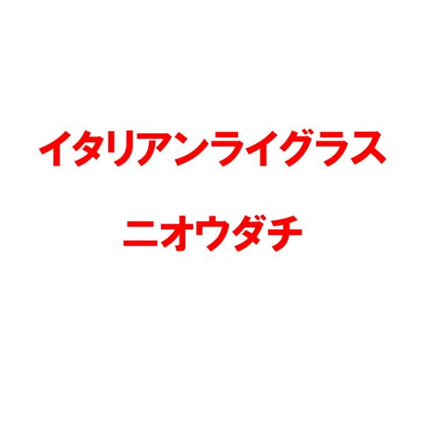 耐倒伏性品種「タチワセ」に比べて耐倒伏性が優り、収量は同程度かやや劣るイタリアンライグラス新品種「ニオウダチ」。出穂期は「タチワセ」と同程度の早生です。関東以西に適応するが、冠さび病には弱い。※播種時期外の商品は欠品する場合がございますので...