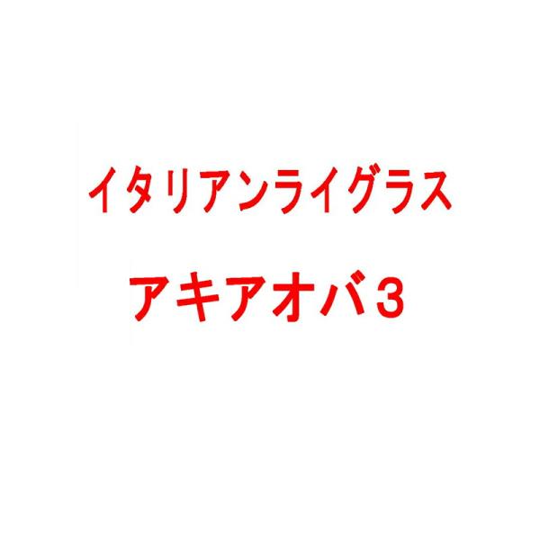 ・4倍体品種。・太茎で、葉幅が広く、再生力に優れる。・冠さび病抵抗性に優れ、耐暑性や耐寒性が良好な長期利用型品種。東北中部・南部  【播種期】9月上旬〜10月中旬一般地  【播種期】9月下旬〜10月下旬【播種量】3.0〜4.0kg/10a※...