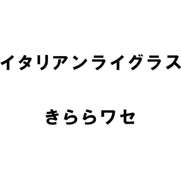 ・4倍体品種。・直立性で茎葉が太く、耐倒伏性に優れる。・冠さび病、いもち病抵抗性に優れる。・遅播きでも生育旺盛。・西南暖地の水田・畑作裏作に適する。東北中部・南部 【播種期】9月上旬〜10月中旬、4月上旬〜4月下旬一般地  【播種期】9月下...