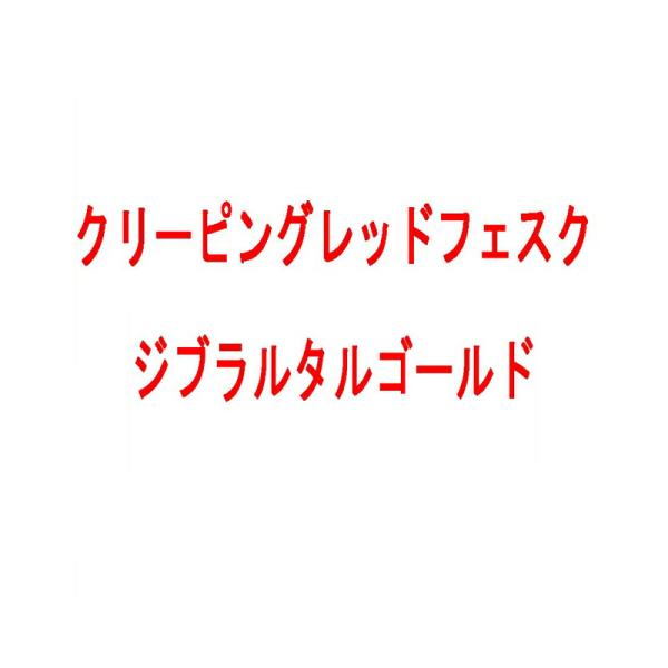 クリーピングレッドフェスク ジブラルタルゴールド 雪印種苗 ※播種時期外の商品は欠品する場合がございますので、播種時期をお確かめの上、ご注文ください。