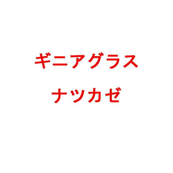 特性・特徴・初期生育が旺盛です。・茎が太く、葉幅も広い大型の多収品種です。・サツマイモネコブセンチュウに対し、抑制効果が期待できます。播種期　東北：6月下旬〜7月上旬　一般地：6月上旬〜8月上旬　西南暖地：5月中旬〜8月中旬播種量　条播：0...