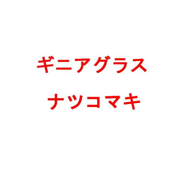 ・初期生育と耐踏圧性に優れる品種。東北中部・南部  【播種期】5月中旬〜7月下旬一般地  【播種期】5月中旬〜7月下旬西南暖地 【播種期】5月中旬〜7月下旬【播種量】1.0〜1.5kg/10a※播種時期外の商品は欠品する場合がございますので...