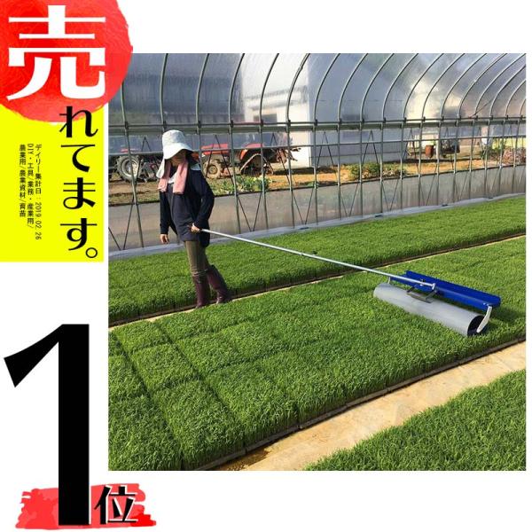 苗を鍛えることにより根が伸びる！茎が太くなる！重さを変えて転がすだけ丈夫な苗を育てます！・スライド式で長さ調整・左右角度調整可能・ペットボトルで重量調整型式：TR-1000ローラー幅：1000mmローラー径：220mm柄の長さ：2000〜2...